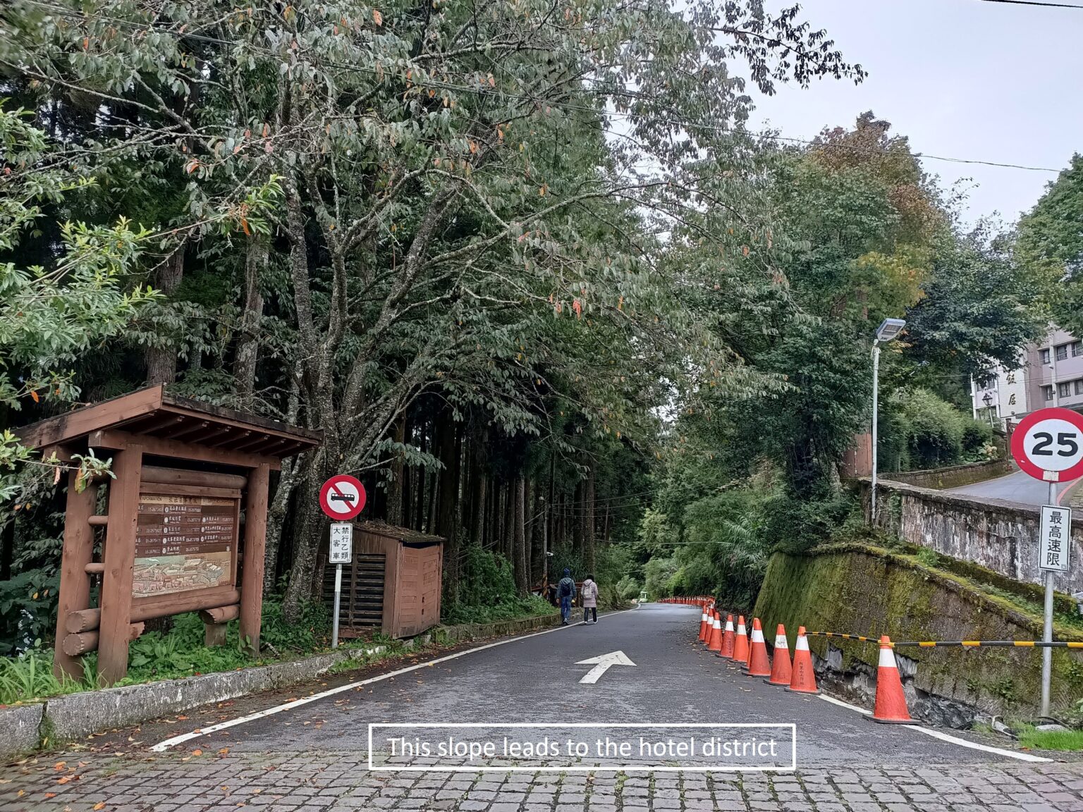 I Trekked Alishan And Here’s My DIY Guide! – Andrea Stories