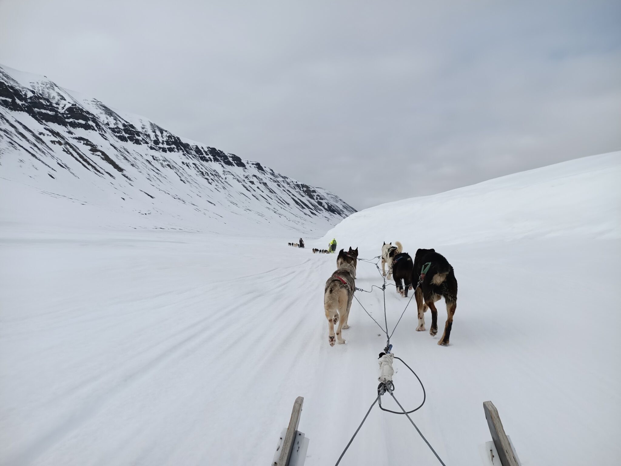 Interesting Facts About Svalbard, Norway – Andrea Stories